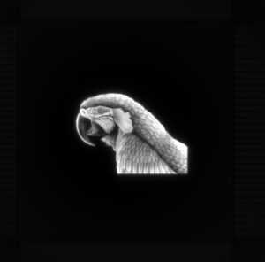 How Chip Design Systems push FLIR camera capabilities with their IR ...