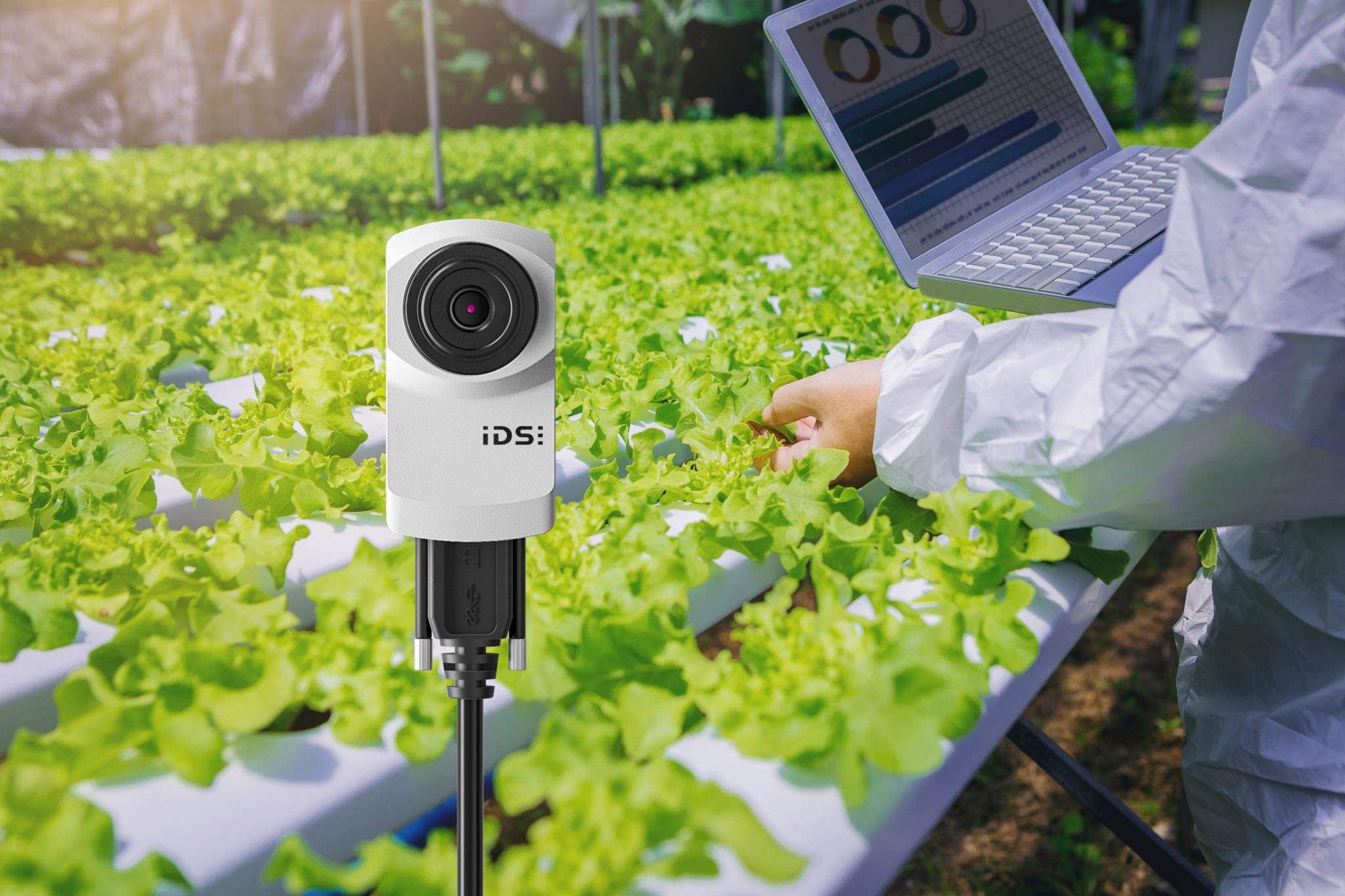 Using technological innovation for environmental benefits ...