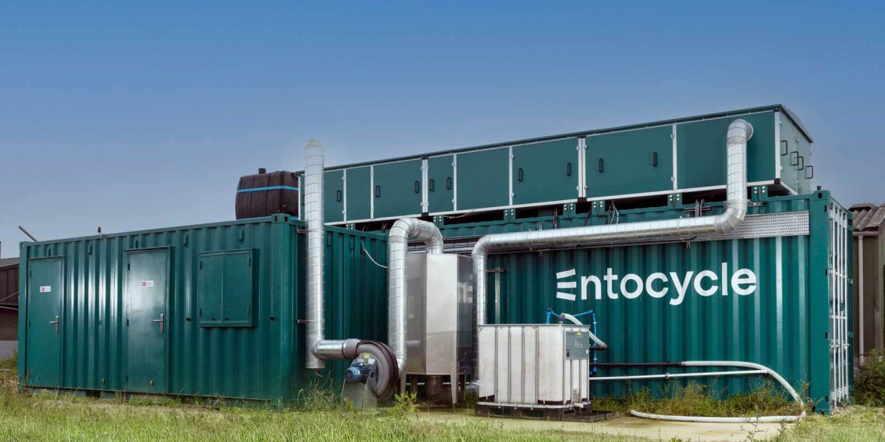 Siemens partners with Entocycle to digitalise insect farming industry ...