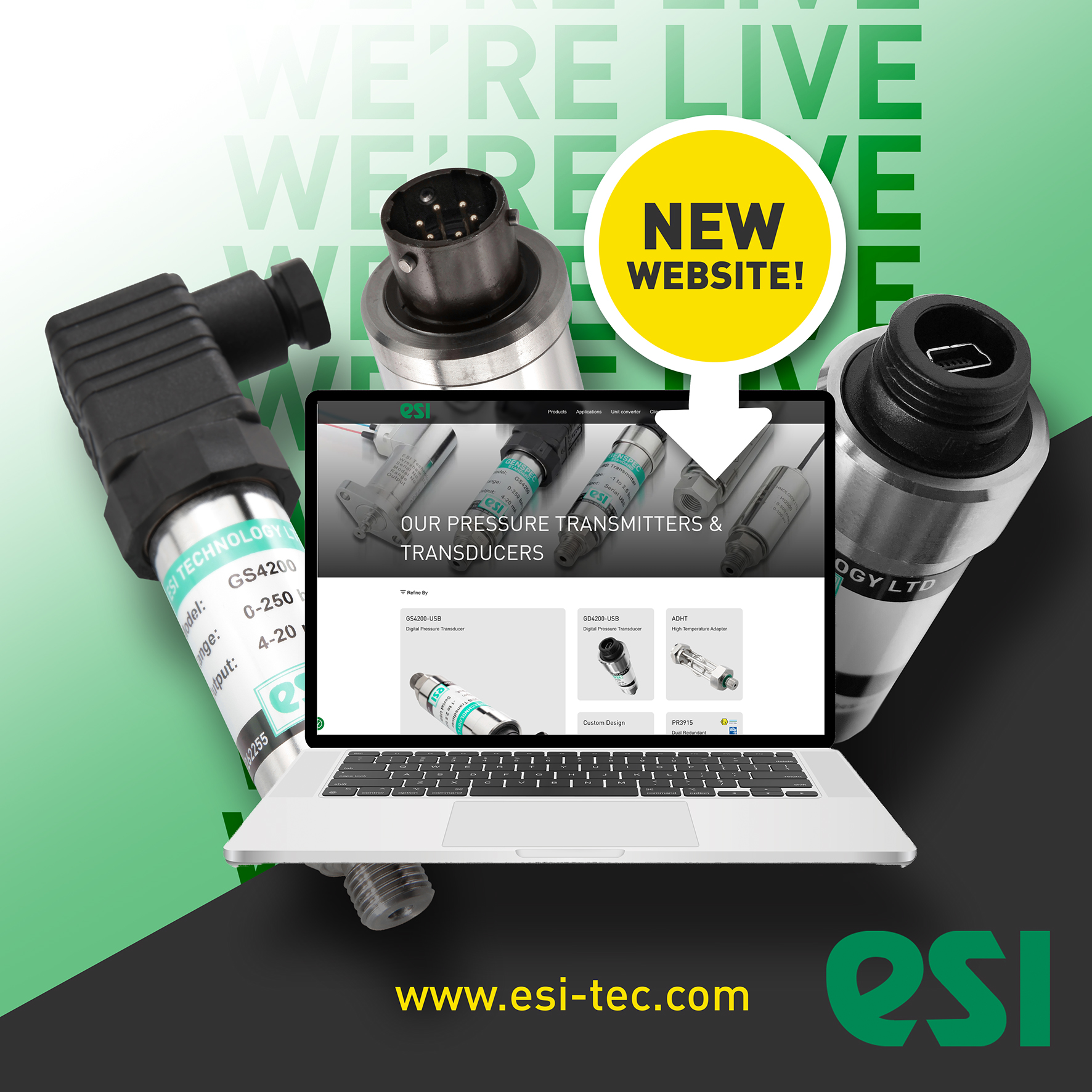 Introducing ESI's cutting-edge website for pressure transmitters: A ...