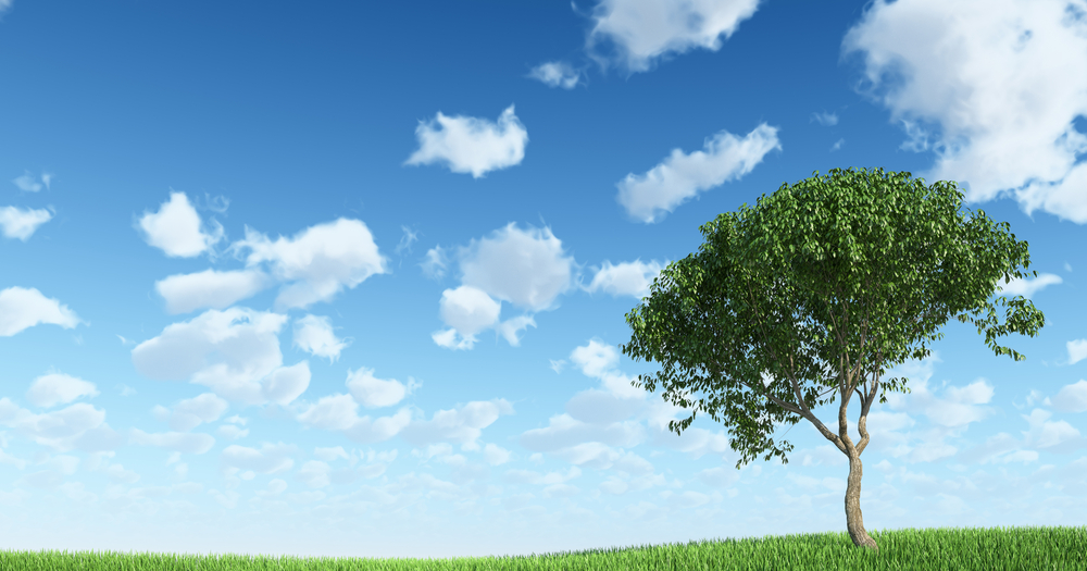 AVEVA and Protium join forces on green hydrogen - Instrumentation Monthly